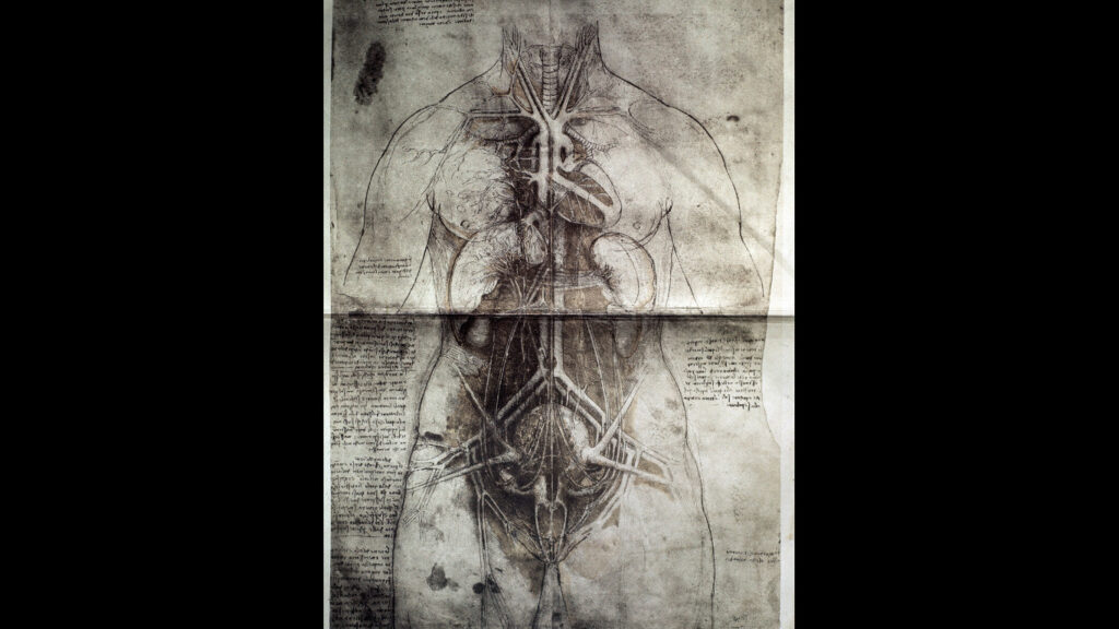Die Wahrheit über die Leonardo da-Vinci-Prophezeiungen - Welt der Wunder