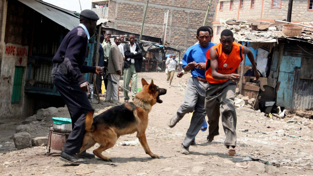 Gnadenlose Schattenwelt: die gefährlichsten Gangs der Welt