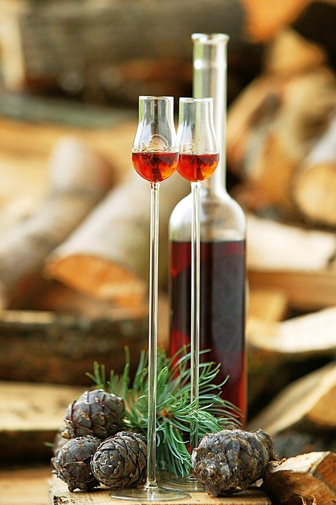 Multitalent Zirbe – drei Dinge, die jeder über den Wunderbaum wissen ...