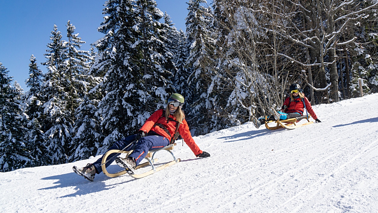 Auf glühenden Kufen: Das müssen Sie übers Rodeln wissen - Welt der ...